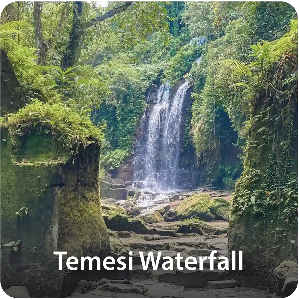 Temesi Waterfall 5 ★ Review - Bali's Best-Kept Secret