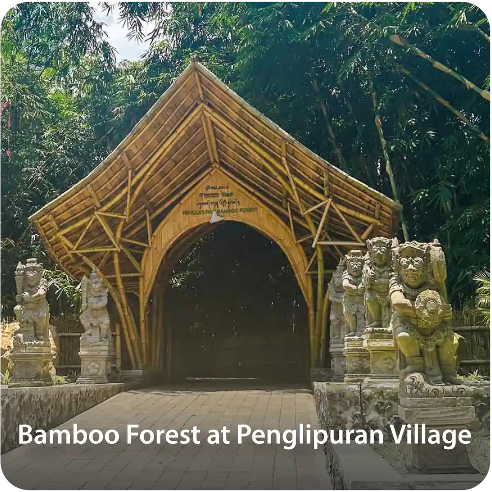 Bamboo Forest at Penglipuran Village Review: Serene Escape